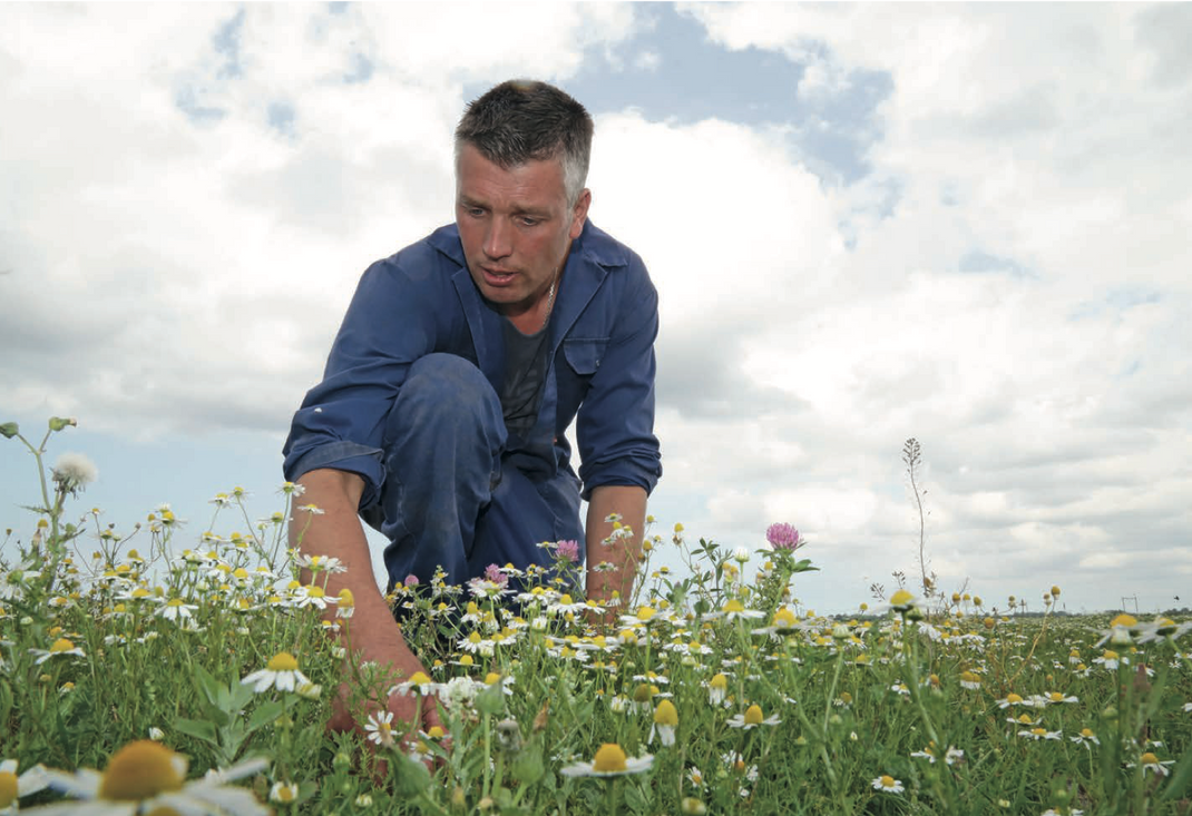 Boerderij De Groene Oerbron | Goed leven, dat proef je!